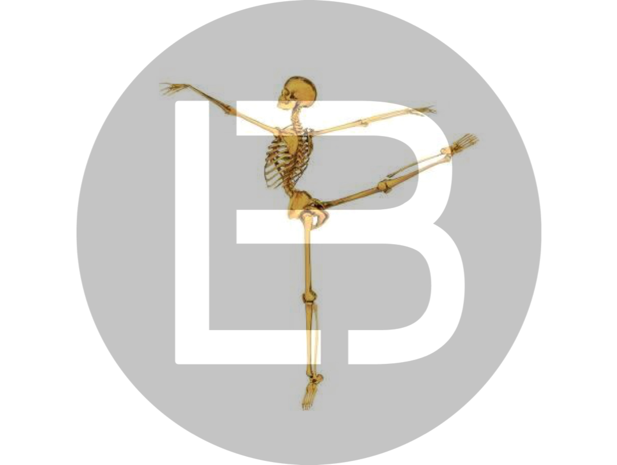lb-colour-skeleton-logo | Liz Bayley Physiotherapy